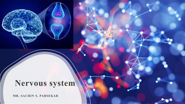 Nervous System Lesson for Grade 6 in Science | PPTX