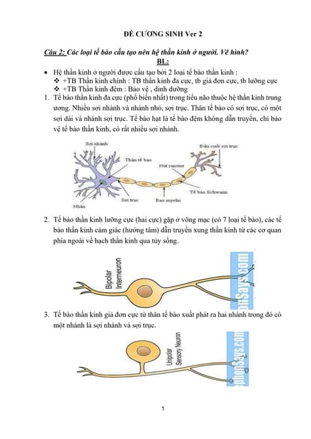 Co so phan tu di truyen cua sinh vat.pptx