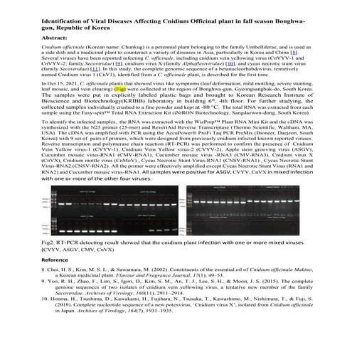 cnidim virus detection report.docx
