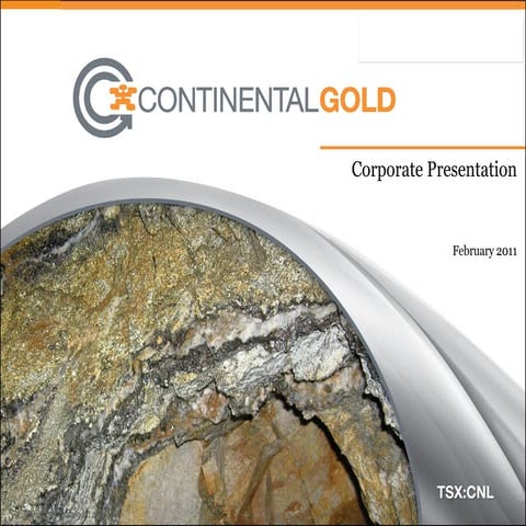 CONTINENTAL GOLD | PDF