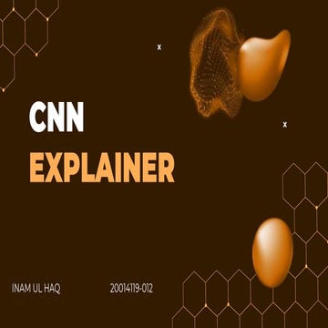 cnn explainer.pptx