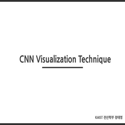 CNN visualization | PDF