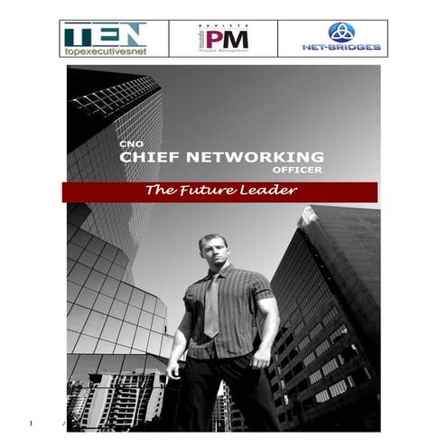 CNO - Chief Networking Officer (En) | PDF