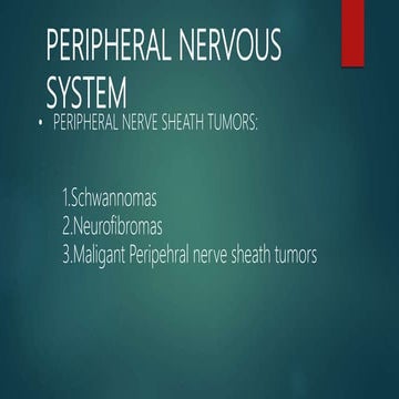 cns-1.pptx