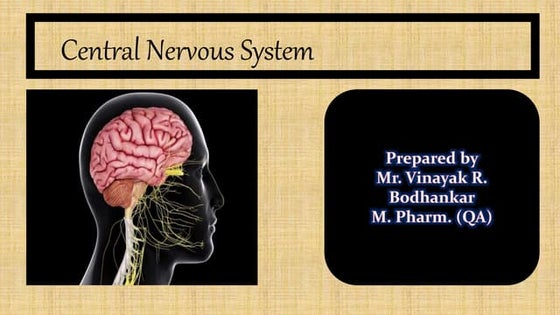 Nervous Tissue Histology Ppt