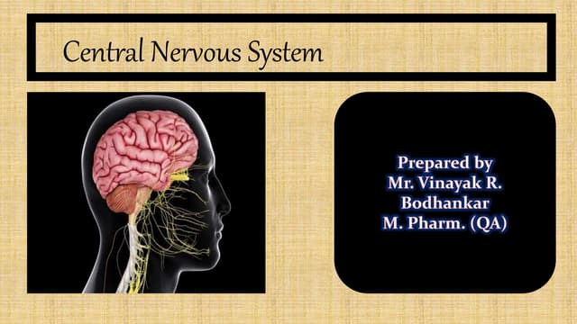 The Human Brain, Its Parts and Functions | PPTX | Brain and Nervous ...