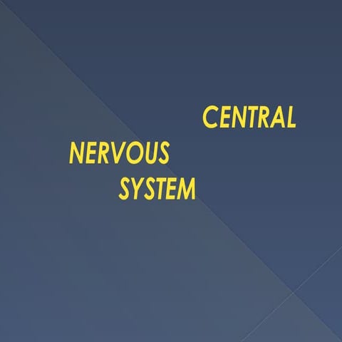 CNS.pptx stroke clinical assessment and evaluation | PPTX | Heart and ...
