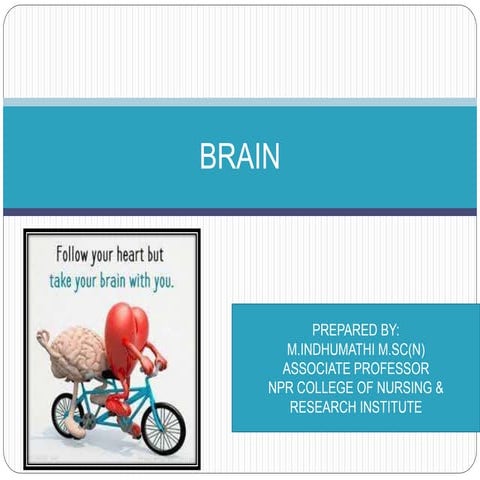 CNS-BRAIN.pptx