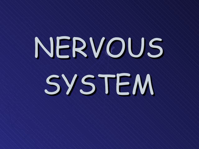 Introduction to the nervous system | PPTX