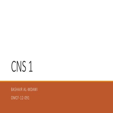 Central Nervous System 1 | PPT