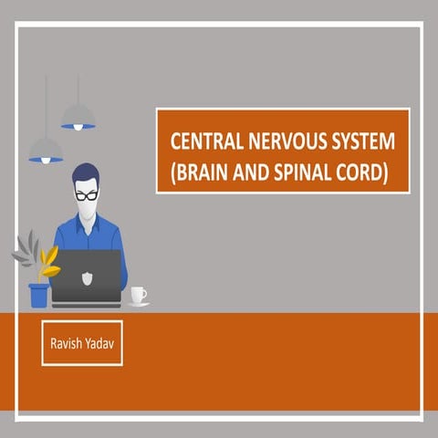 Central nervous system (brain and spinal cord) CNS | PPTX