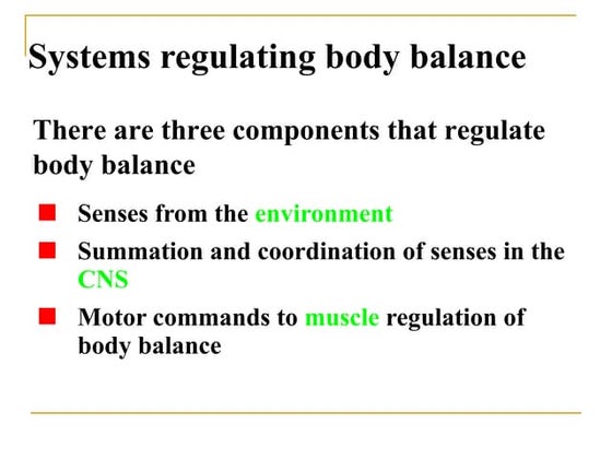 Physiology of equilibrium & balance | PPT | Brain and Nervous System ...