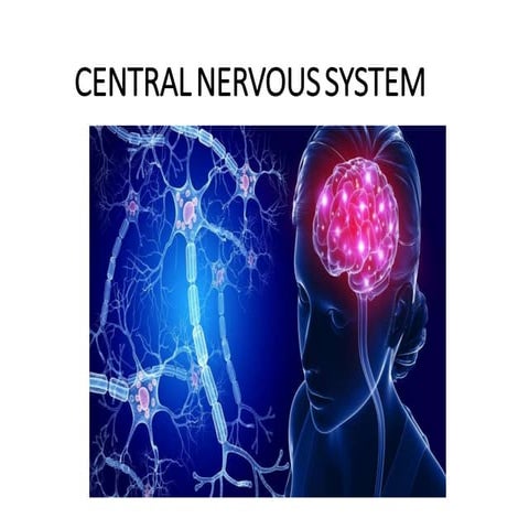CNS (2).pptx cns cnssssjhjjhjnvgjnnnbhhjnn | PPTX