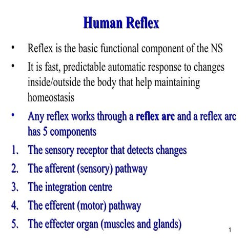 Reflexes - Superficial and Deep tendon reflexes | PPTX