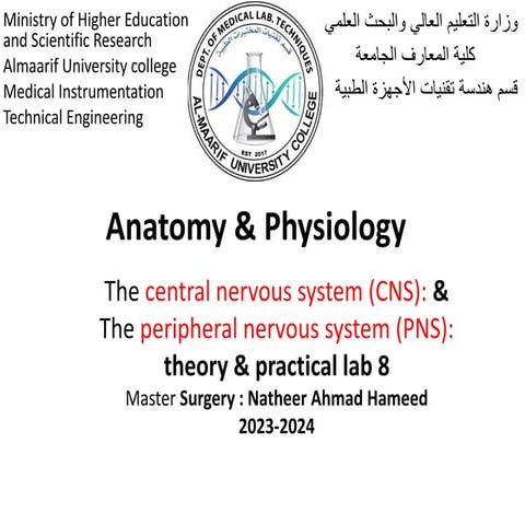 CNS 8.pdf