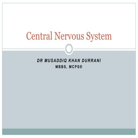 Basic Anatomy Cns Ppt