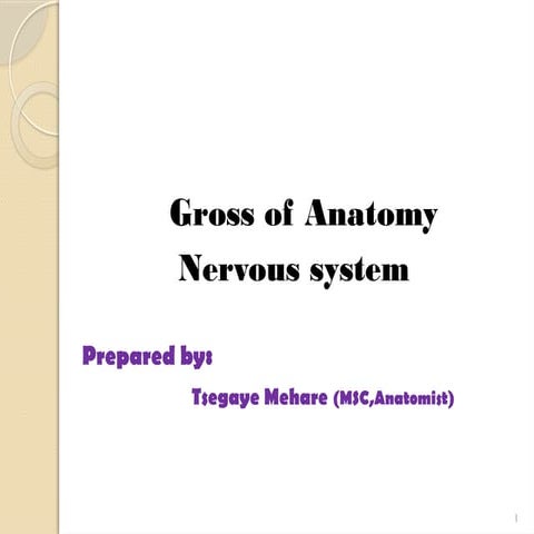 CNS anatomy is a detailed lecture of brain and spinal cord | PPT