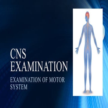Neurological examination - Upper And Lower Limb.pdf