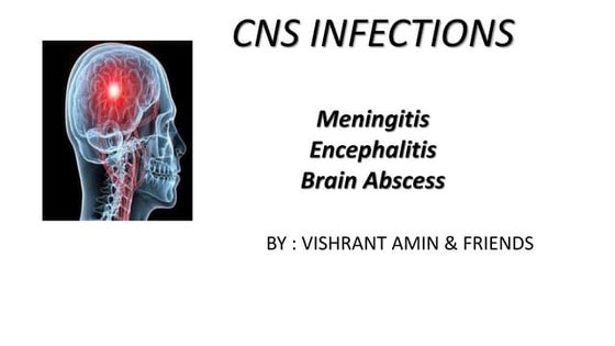 Investigations of acute bacterial meningitis | PPT