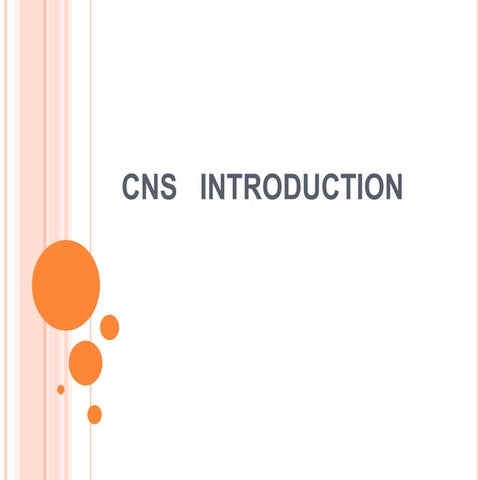 CNS_Introduction with detailed description .ppt