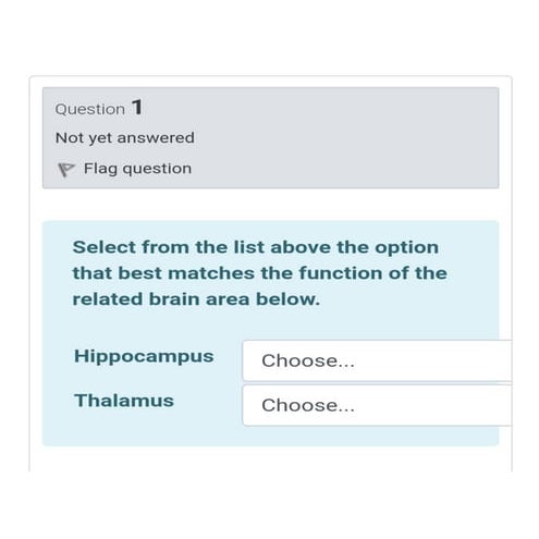 Cns mock without answers | PDF