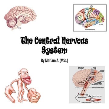 Physiology Central Nervous System part I.pptx