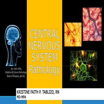 Central nervous system pathology | PPTX