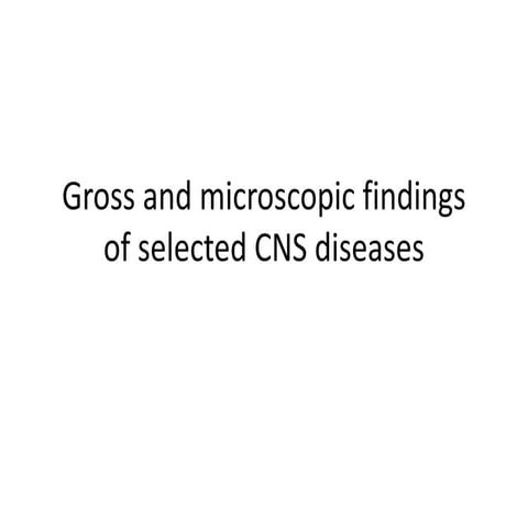 CNS practical path | PPT