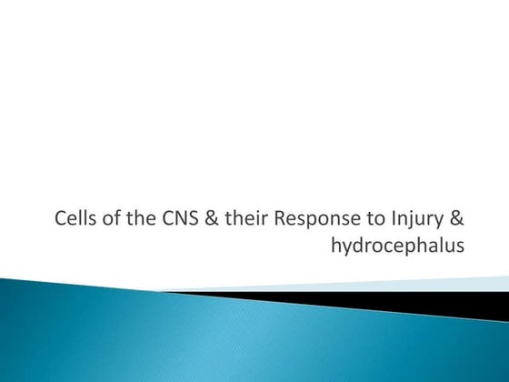 Neuropathology Conference 12/01/05 - Case 1 | PPT