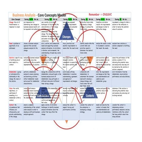Business Analysis - Core Concepts Model | DOCX