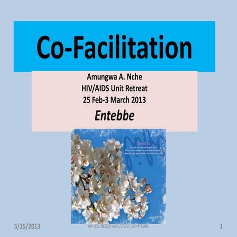 Co facilitation for trainers ppt | PPTX