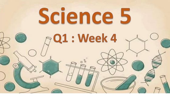SCIENCE-GRADE-3.pptx