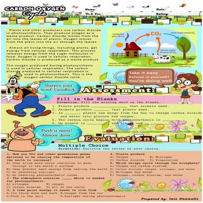 Carbon Oxygen Cycle Localize Instructional Material | DOCX