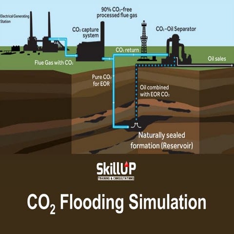 Co2 flooding.pdf