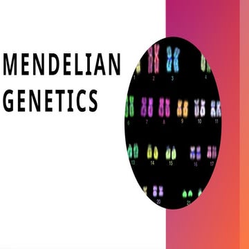 Science 8 : Third quarter Mendelian Genetics | PPTX