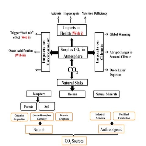 CO2 impacts on environment and atmosphere.ppt