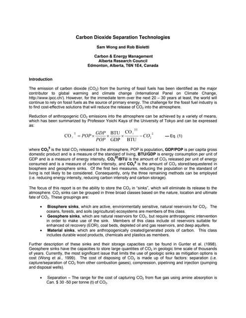 CO2 absorption in MEA solution report.pdf