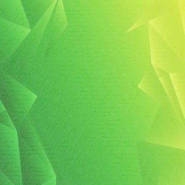 Provide Evidence to Support Fact and Opinion | PPTX