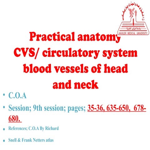 CVS; the anatomy of local circulatory system in the head and neck ...
