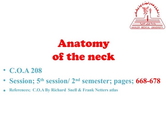 TRIANGLES OF NECK | PDF