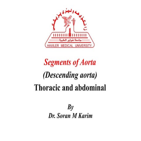 clinically oriented Anatomy of aorta & its branches.pptx