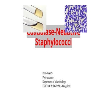 Coagulase-Negative Staphylococci (CoNS): Taxonomy, Pathogenesis, Diagnosis, and Clinical ...