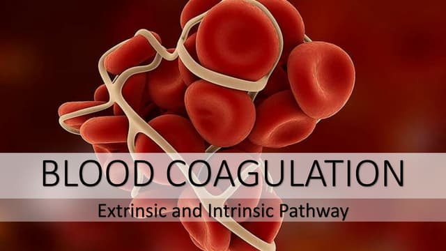 Blood coagulation cascade | PPTX
