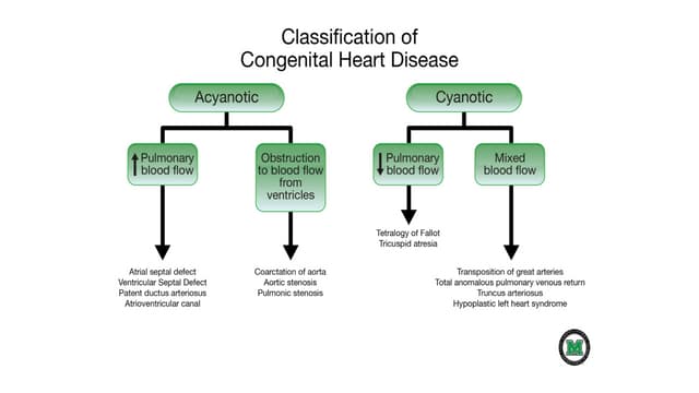 First aid for Snake bite | PPTX