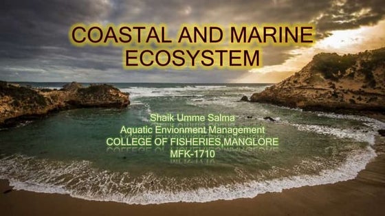 Benthos - types and their role in ecosystem | PPTX | Zoos & Aquariums ...