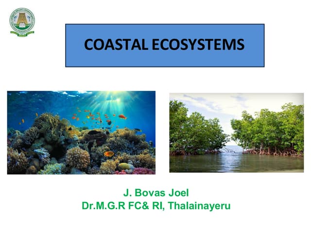 Estuaries ecosystem | PPTX