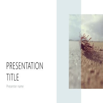 Coastal presentation.pptx