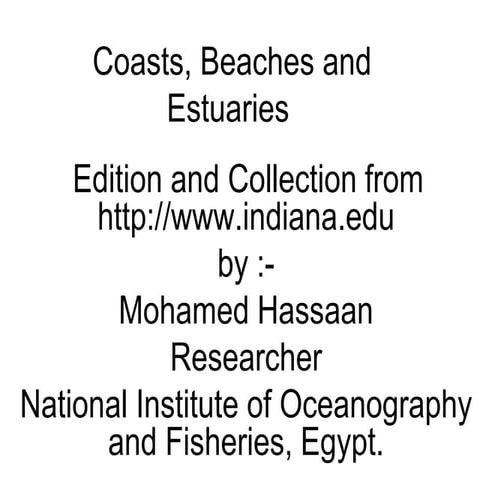Coasts, Beaches and Estuaries | PDF