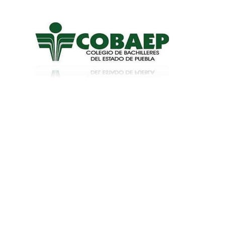 Cobaep | DOCX