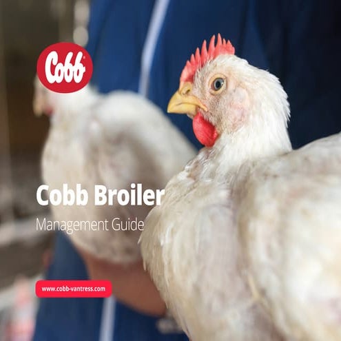 Cobb broiler management guide eng-2018 | PDF